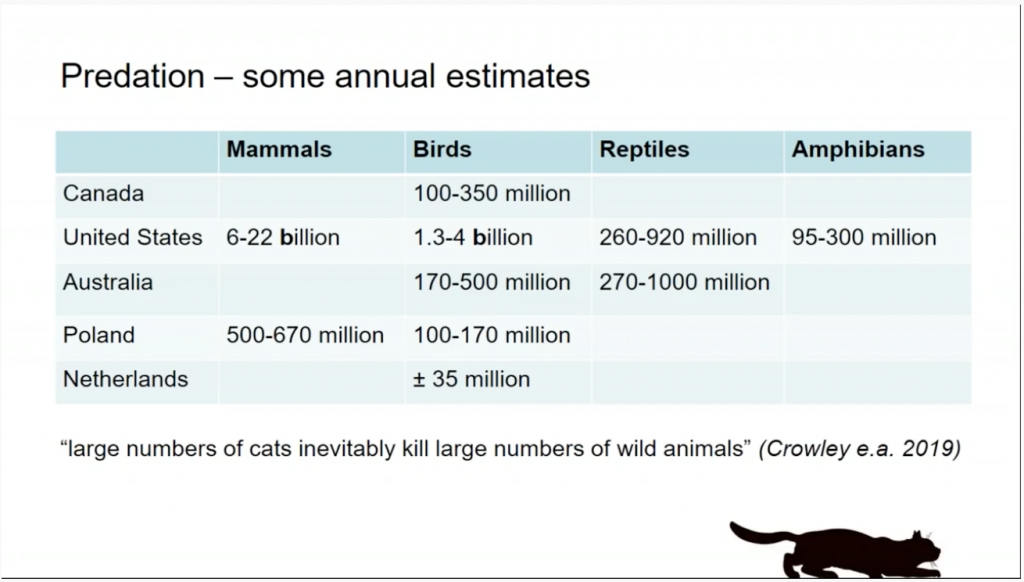 Domestic cats an invasive species? The last biodiversity lecture of ...