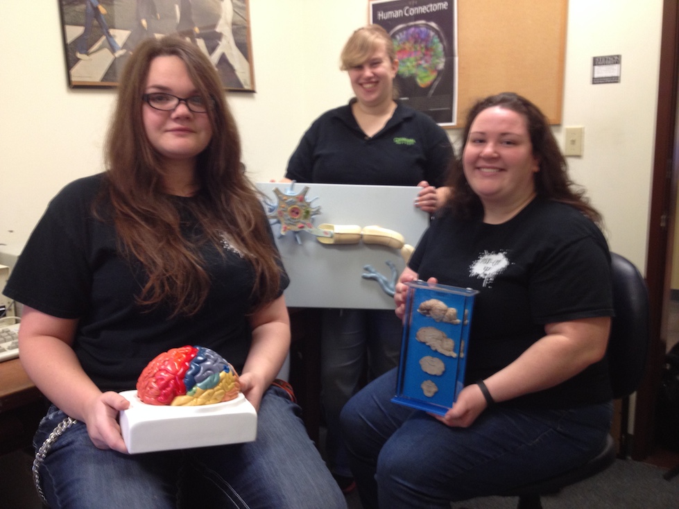 Science Saturday: Mindboggle Brain Awareness - Stetson Today