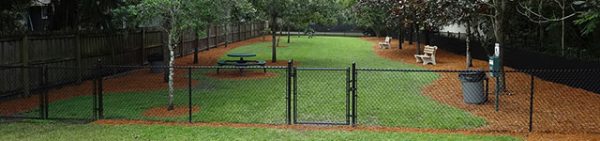 New Dog Park Opens on Campus - Stetson Today
