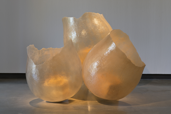 Jessica Rath’s ‘A Better Nectar’ Visits Stetson - Stetson Today