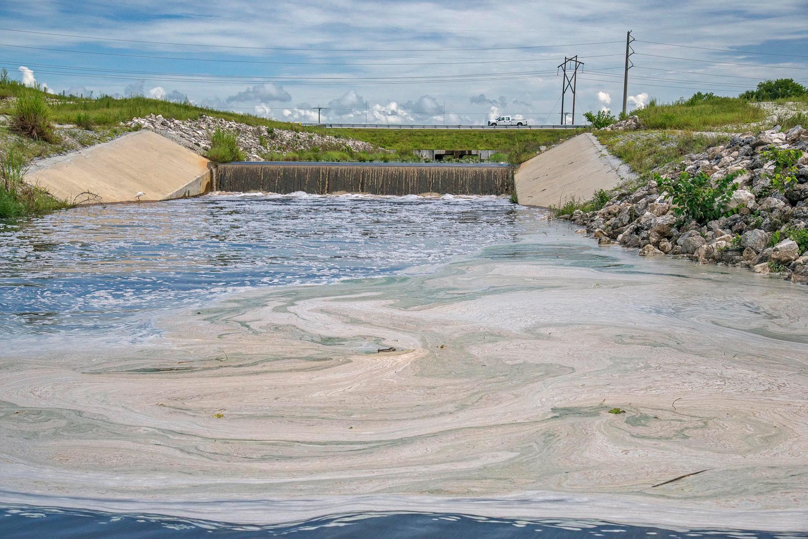 Stetson Hosts Discussion on Florida’s Water Crisis - Stetson Today