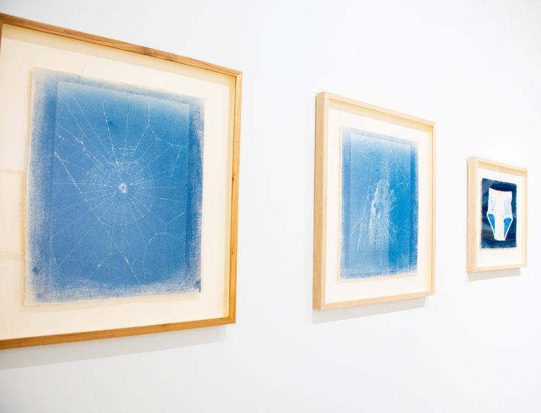 ‘Camera-Less Photography' Exhibit Comes to Hand Art Center - Stetson Today