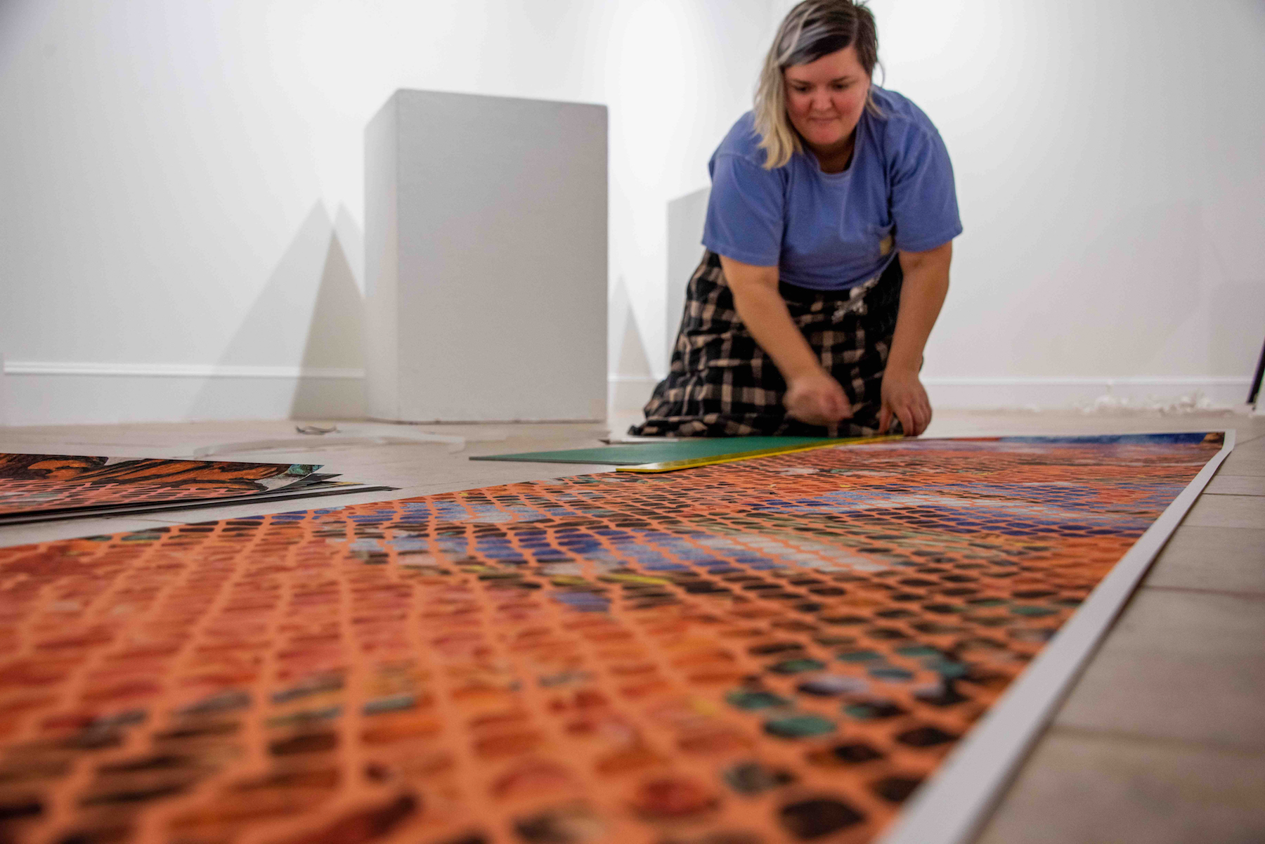 ‘Camera-Less Photography' Exhibit Comes to Hand Art Center - Stetson Today