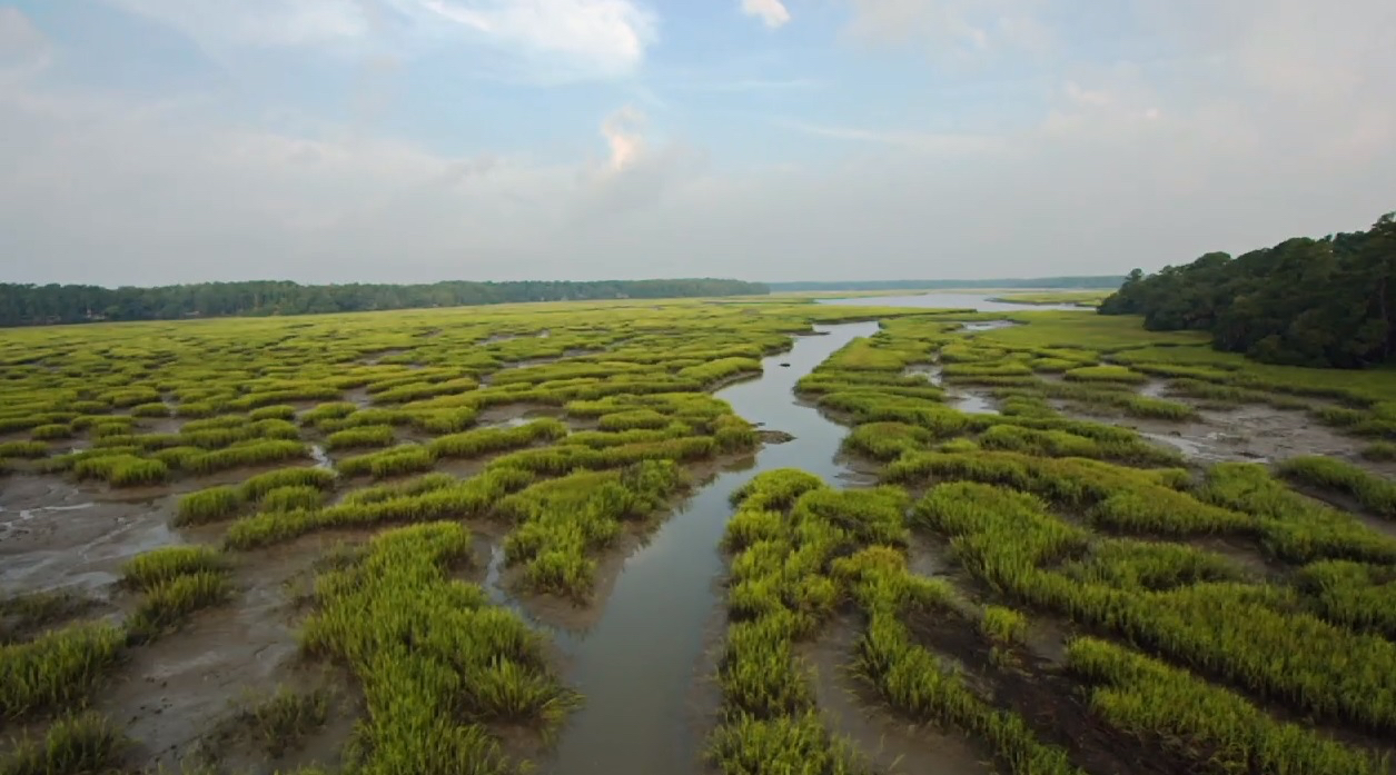 Science Café Explores the Environmental Importance of Marine Ecosystems ...