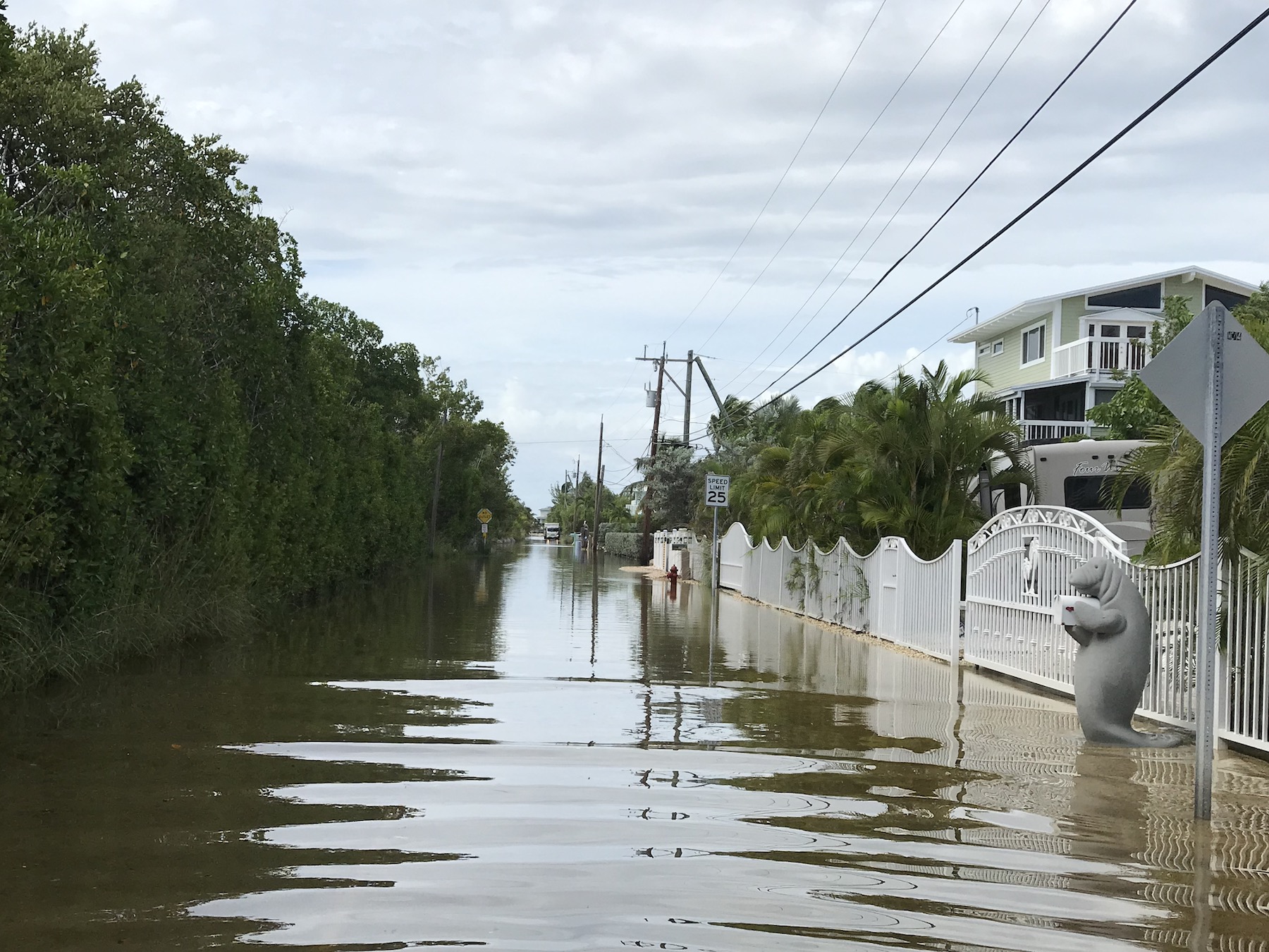 3-Year Effort by Stetson Professor Results in 35% Discount in Flood ...