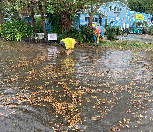 Stetson's Water Institute Awarded Grant to Reduce Flooding - Stetson Today