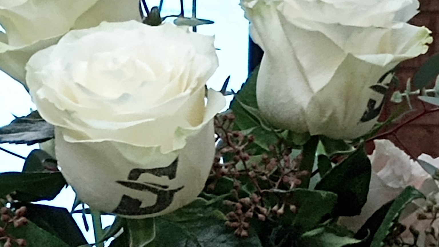 Centurion Sales Program Continues to Blossom - Stetson Today