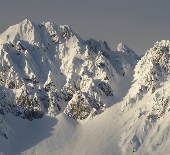 Tragedy and Triumph - Stetson Today